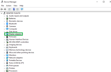 No DP Signal From Your Device Dell Monitor: FIXED