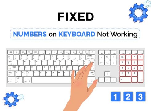 How to Fix Numbers on Keyboard Not Working in Windows 10, 11
