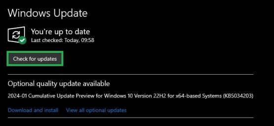 Network Adapter Driver Download and Update for Windows 10, 11