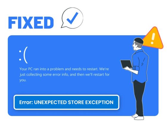 Unexpected Store Exception Windows 11, 10 Error (Fixed)