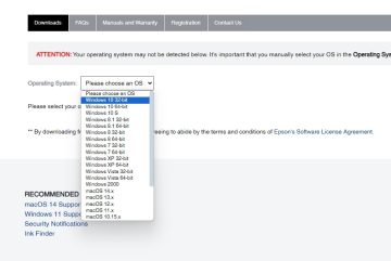 Epson Scan 2 Software/Driver Download, Install, and Update for Windows ...