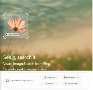 Top 5 Reverse Image Search Tools in 2026
