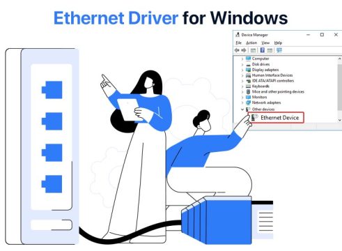 Ethernet Drivers Download, Install, and Update on Windows 11/10