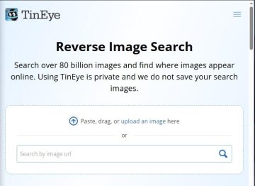 Top 5 Reverse Image Search Tools in 2026